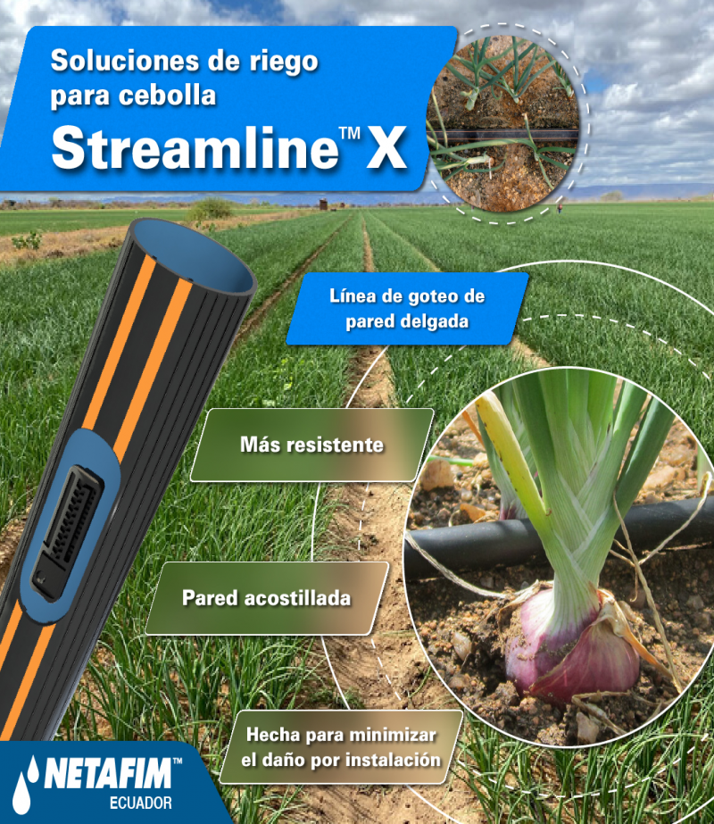 Sistema De Riego Por Goteo Netafim 100Pzas Gotero PCJ Netafim